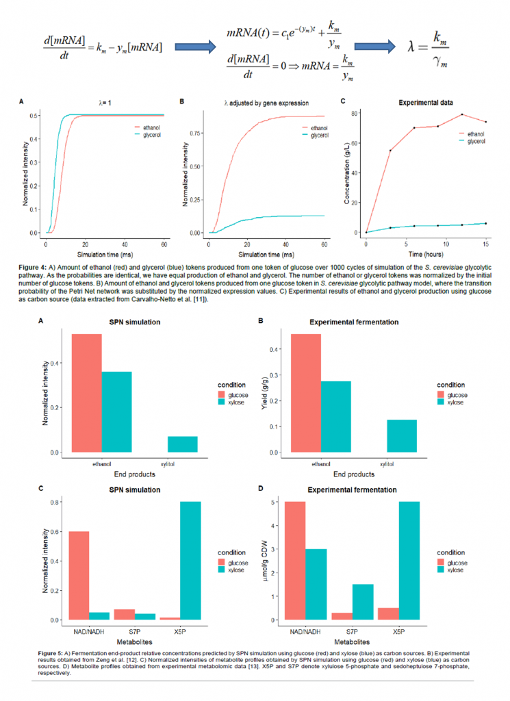 A Novel Method for the Integration of Stochastic Petri Net Simulation and Transcriptomic Data ...