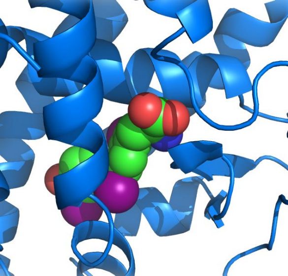 Advancing Science with Cloud Computing – CCES Unicamp