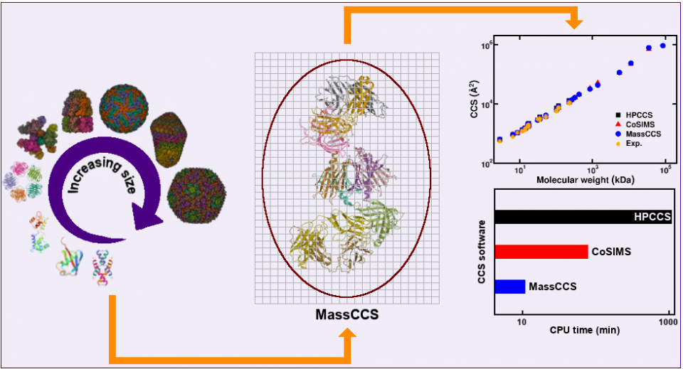 MassCCS: A High-Performance Collision Cross-Section Software for Large Macromolecular Assemblies ...